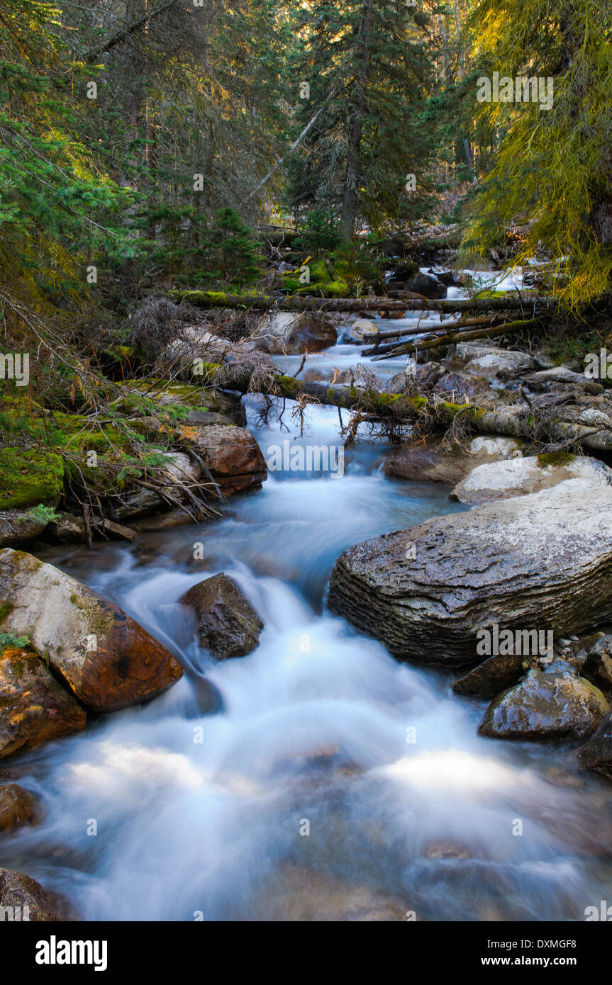 Mountain stream beauty hi-res stock photography and images - Alamy