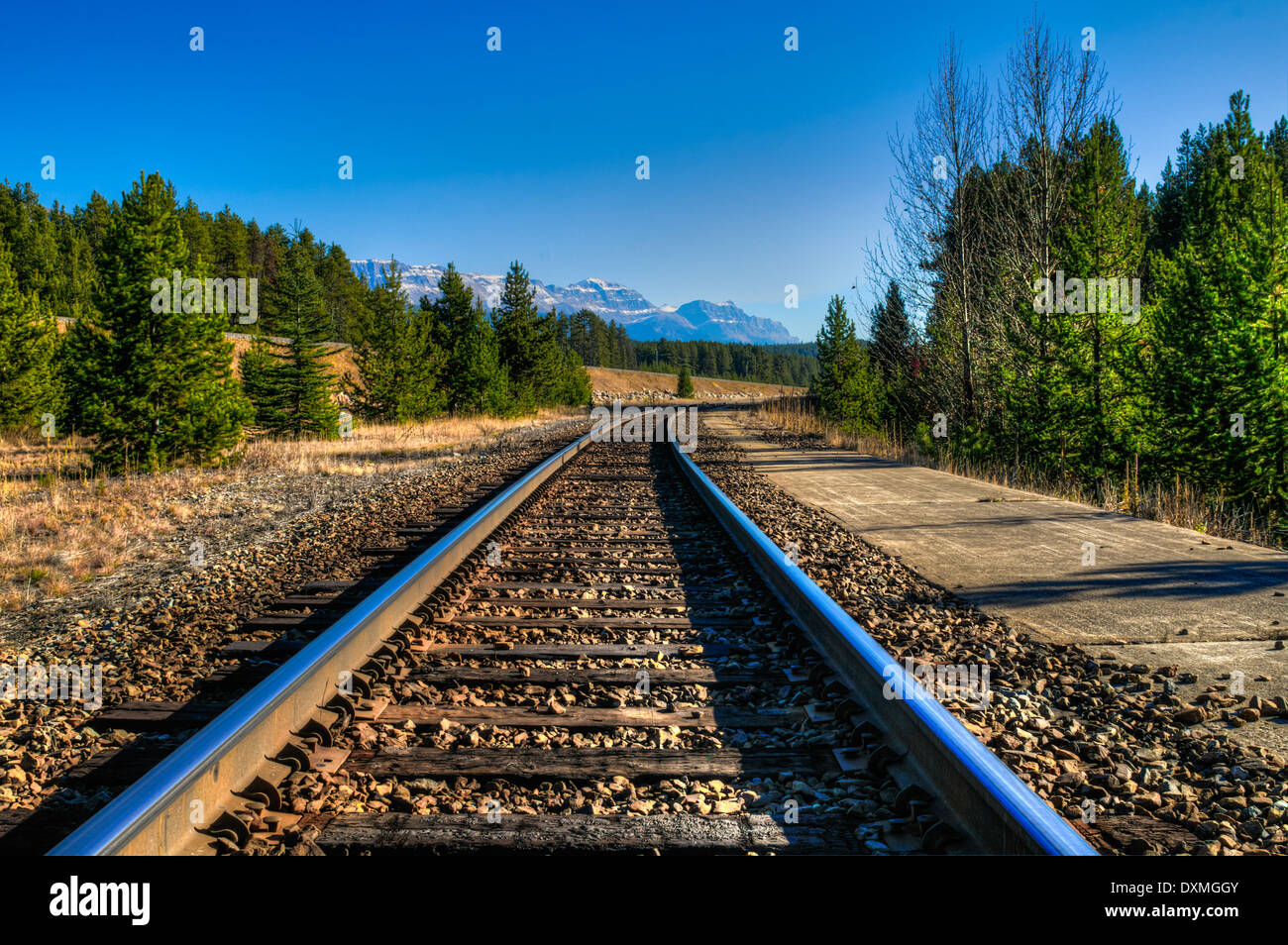 Railway line running through Banff National Park Alberta Canada Stock ...