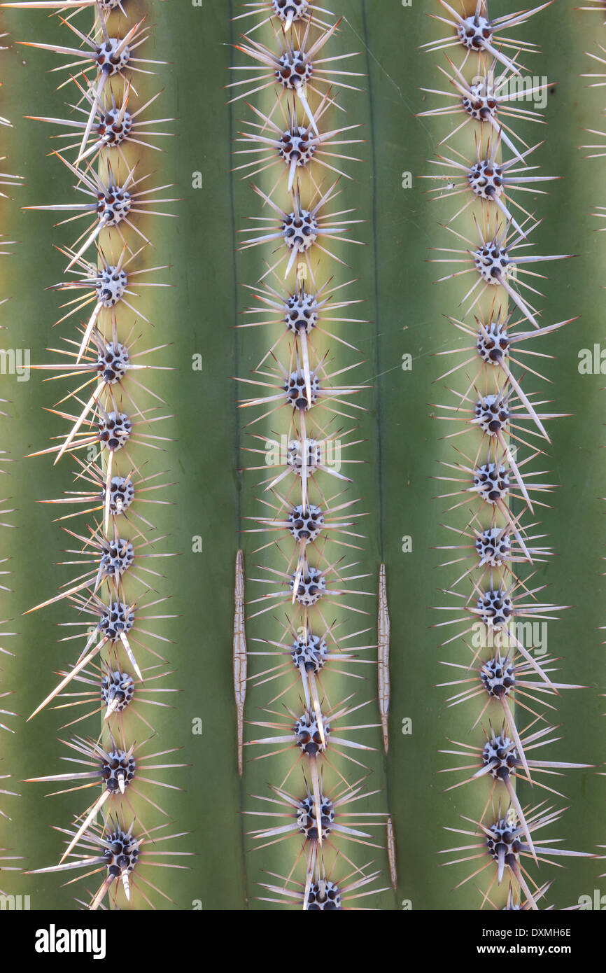 South west national park hi-res stock photography and images - Alamy