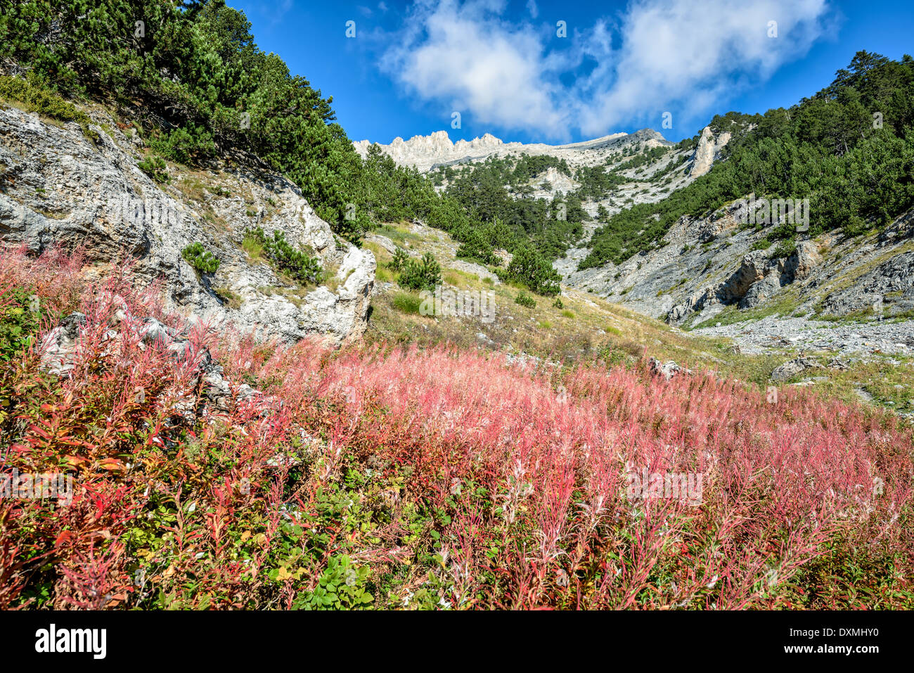 Mountain greece olympus hi-res stock photography and images - Alamy