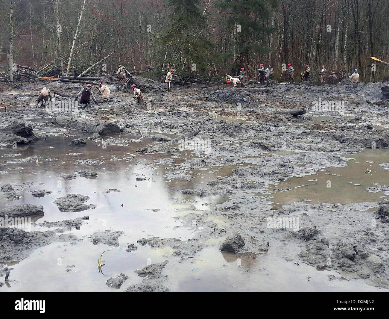 Oso mudslide hi-res stock photography and images - Alamy