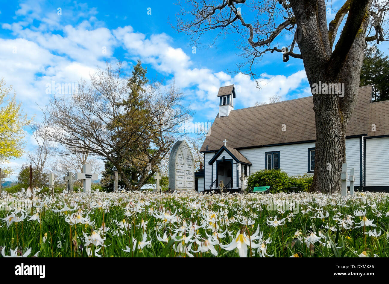 Native Lilies High Resolution Stock Photography and Images - Alamy