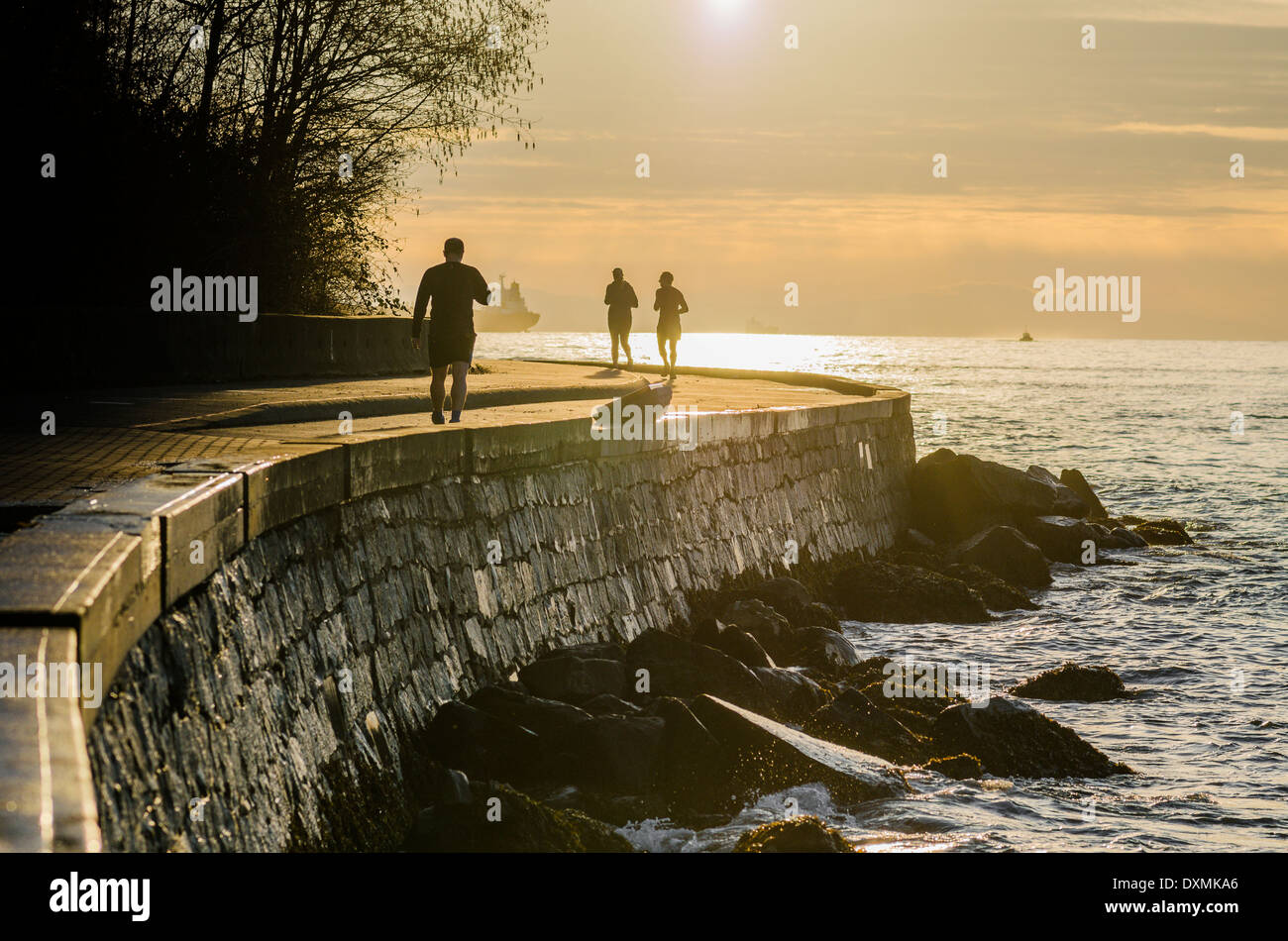Stanley park and vancouver and joggers hi-res stock photography and ...