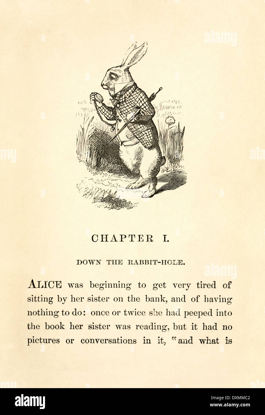 Alice in wonderland rabbit hole hi-res stock photography and images - Alamy