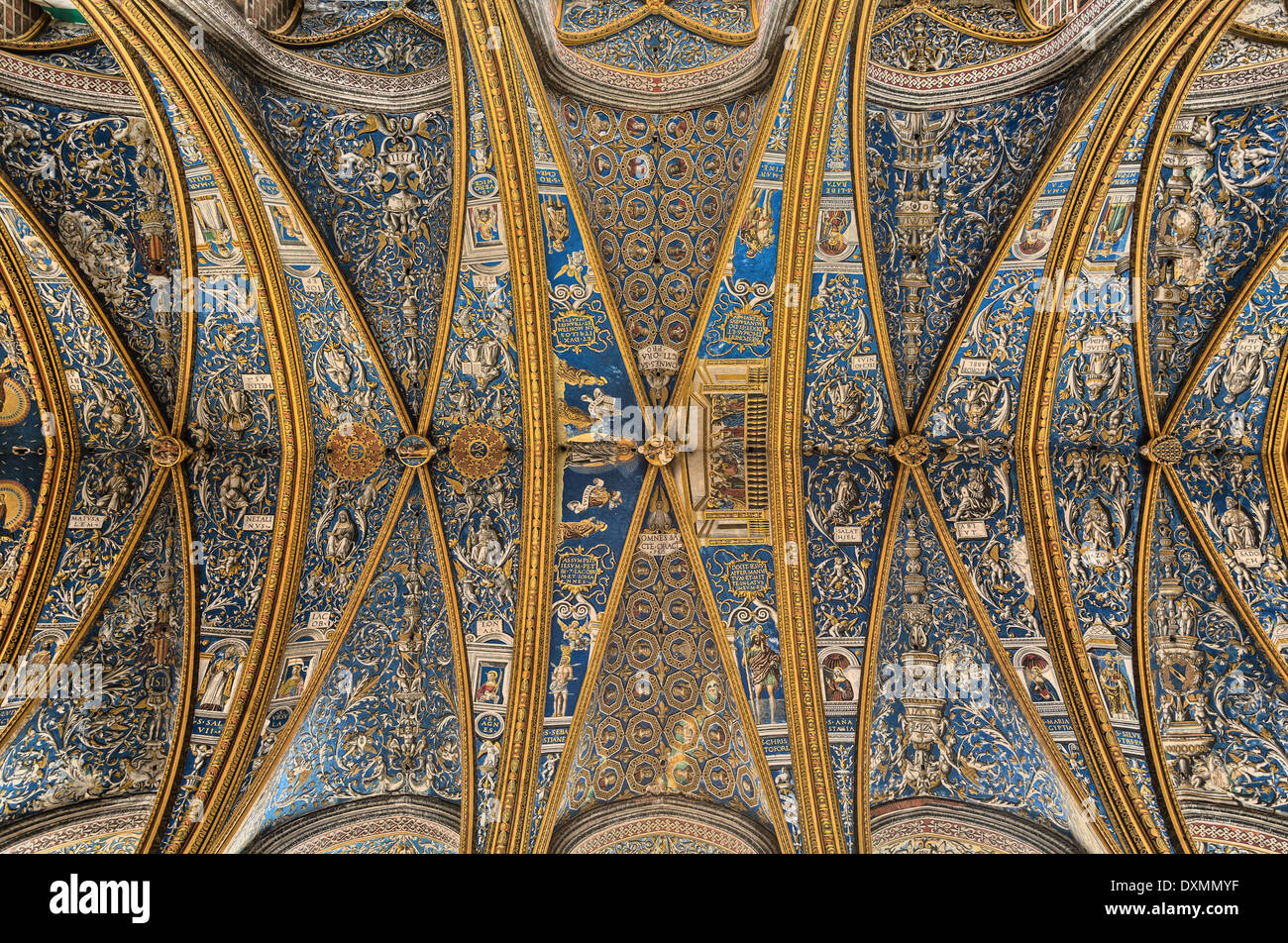 Albi cathedral ceiling frescoes cathedral hi-res stock photography and ...