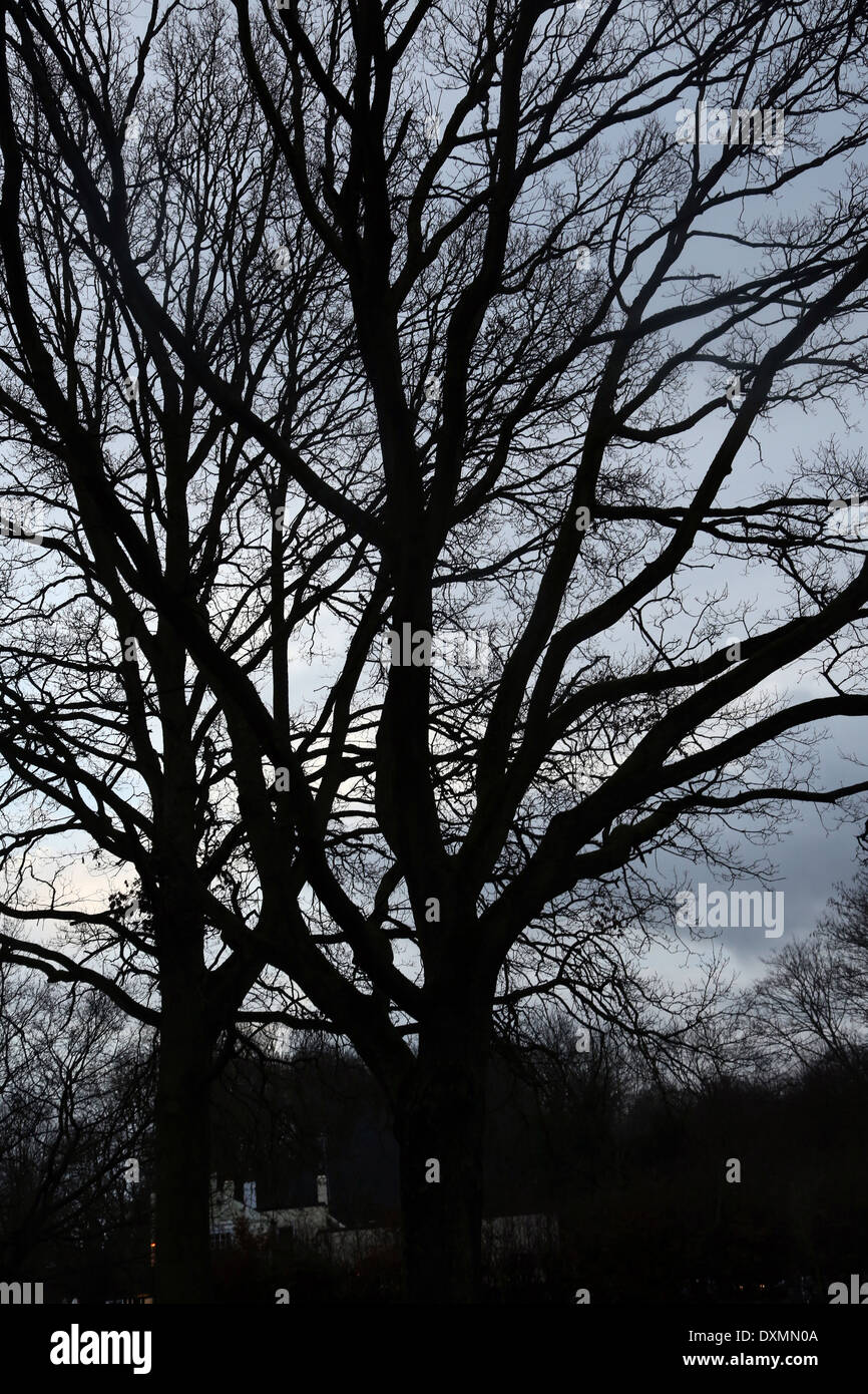 Dull grey hi-res stock photography and images - Alamy