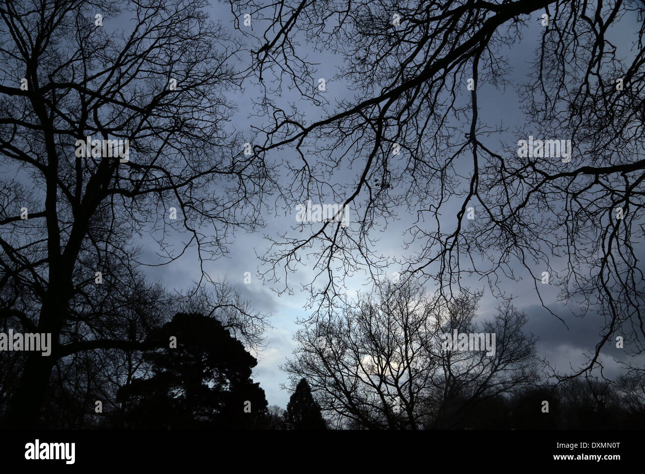 Dull grey hi-res stock photography and images - Alamy
