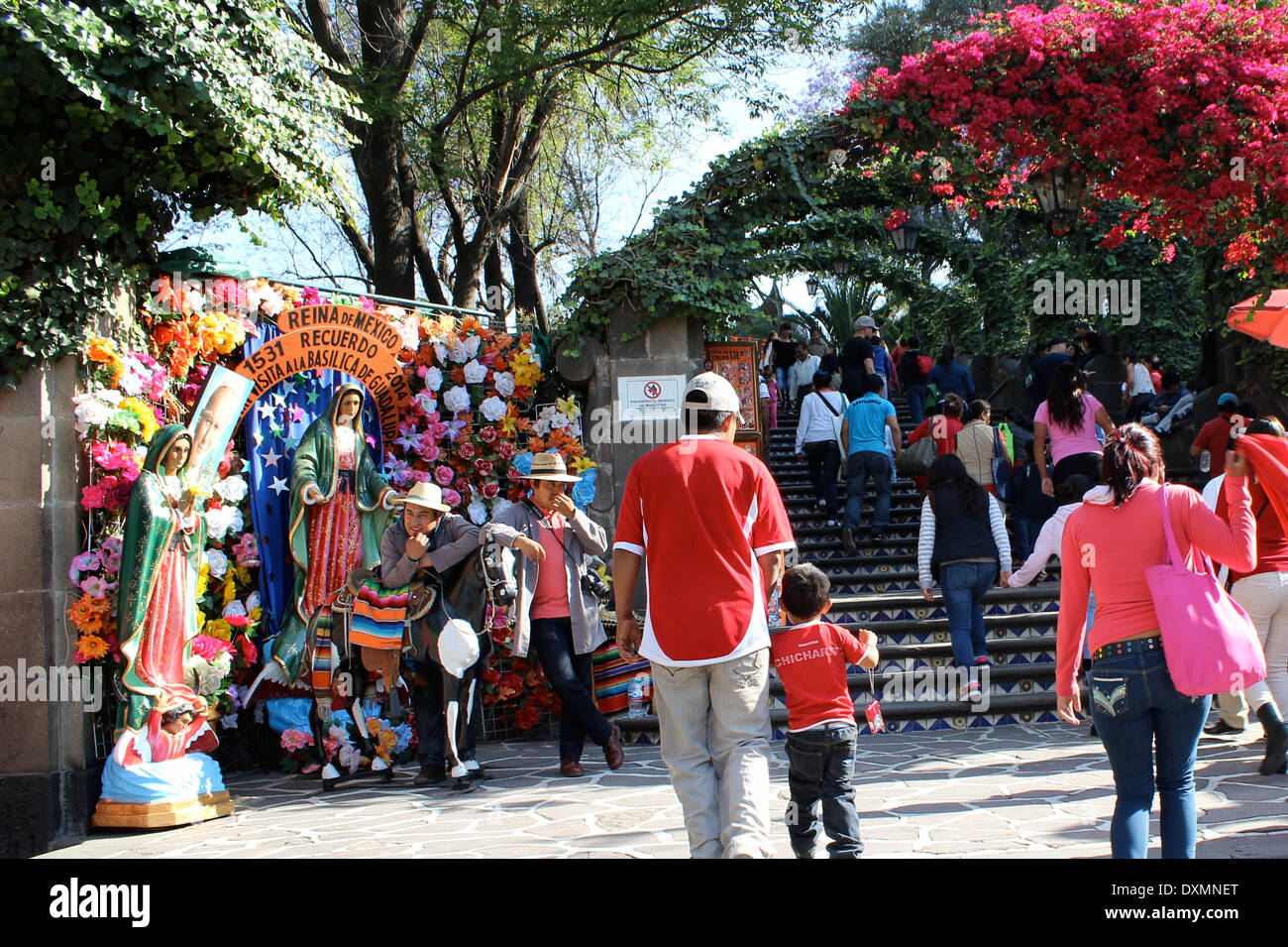 People climbing up to the top of Tepeyac Hill behind the Basilicas de ...