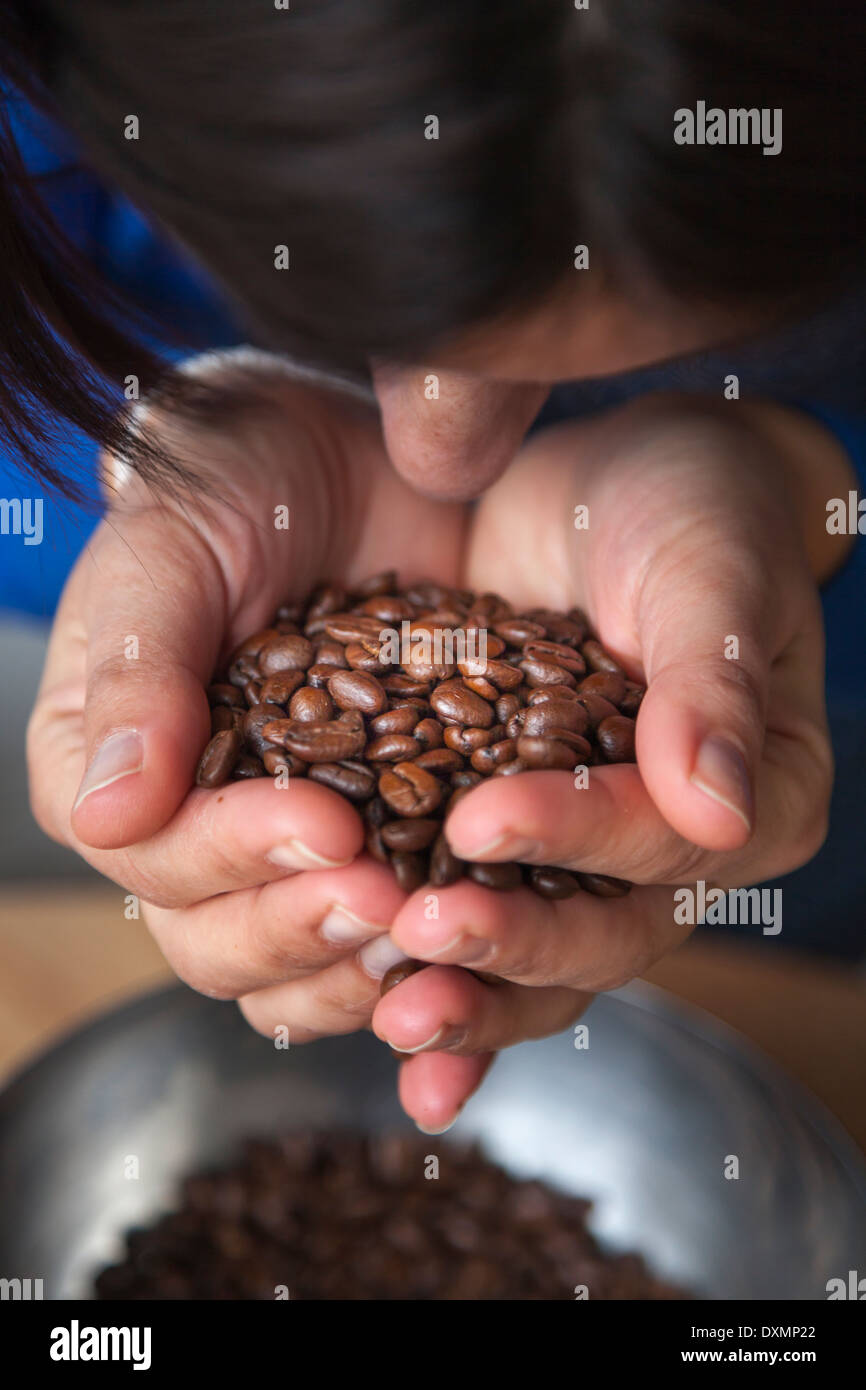 Inspection quality coffee beans hi-res stock photography and images - Alamy