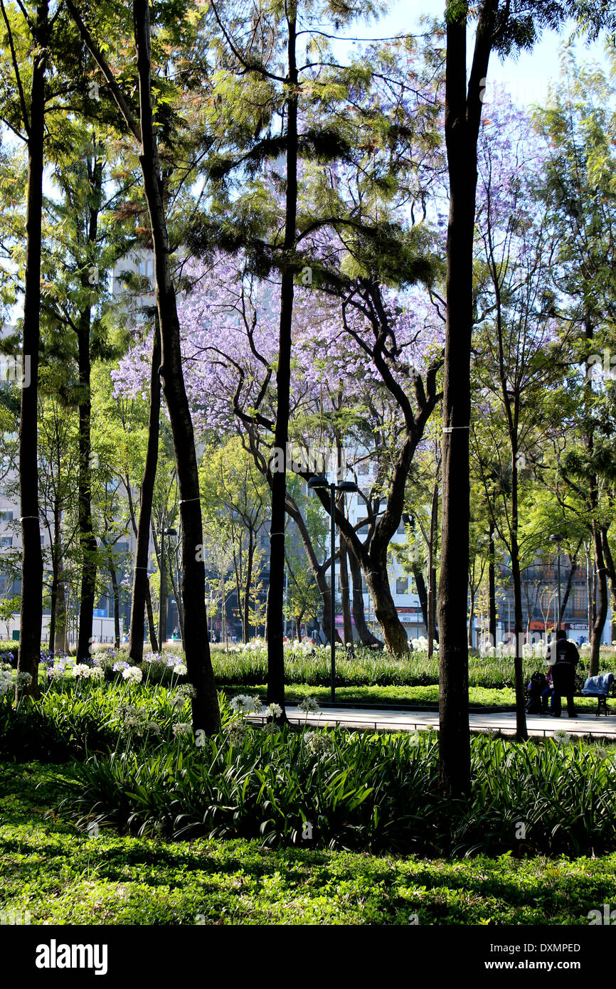 Alameda Park in the centre of Mexico City, Mexico Stock Photo - Alamy