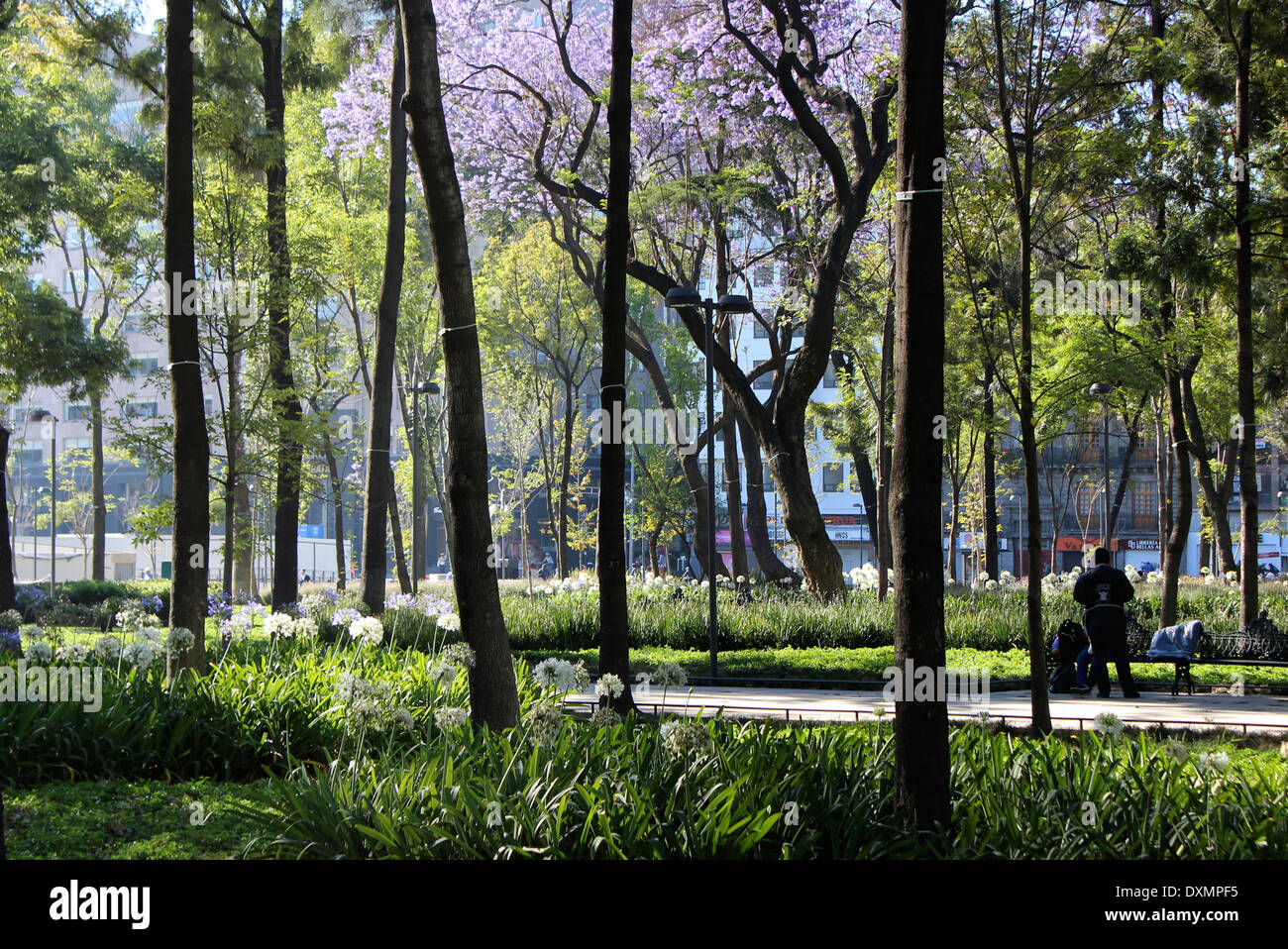 The Alameda Park in the center of Mexico City, Mexico Stock Photo - Alamy