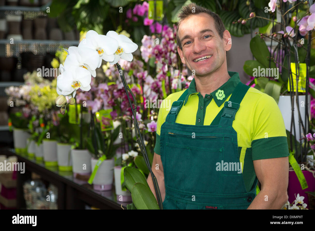 Male flower shop caucasian happy hi-res stock photography and images ...