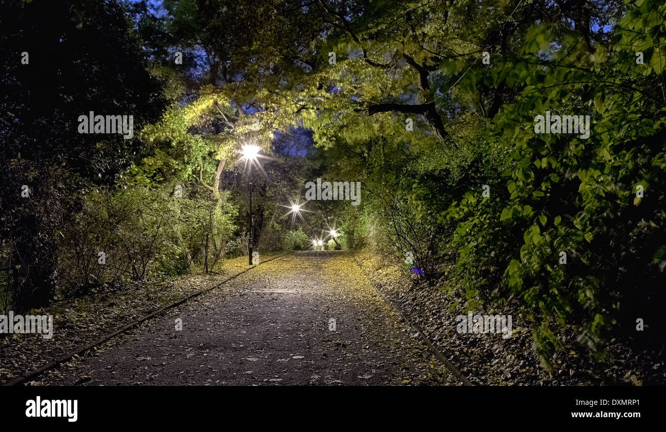 Park path in the night Stock Photo - Alamy