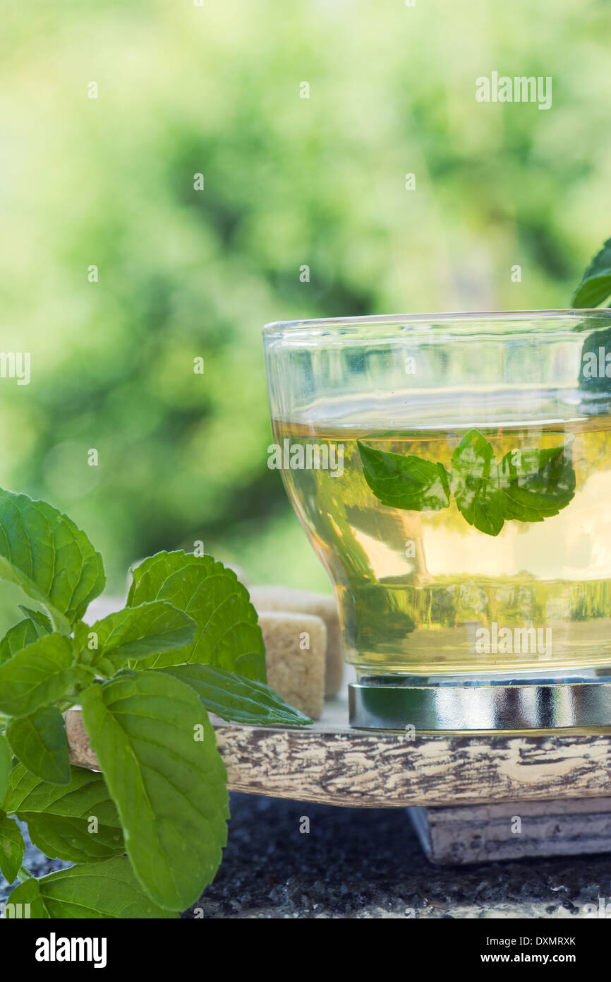 Mint tea with fresh mint leaves and sugar cubes Stock Photo - Alamy