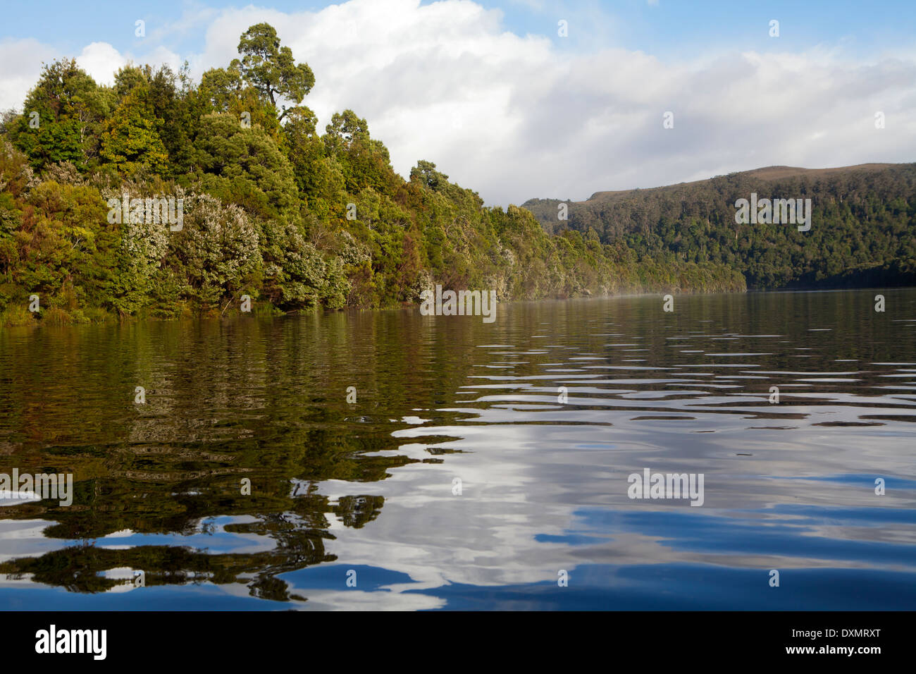 Pieman River, running through the Tarkine rainforest Stock Photo - Alamy
