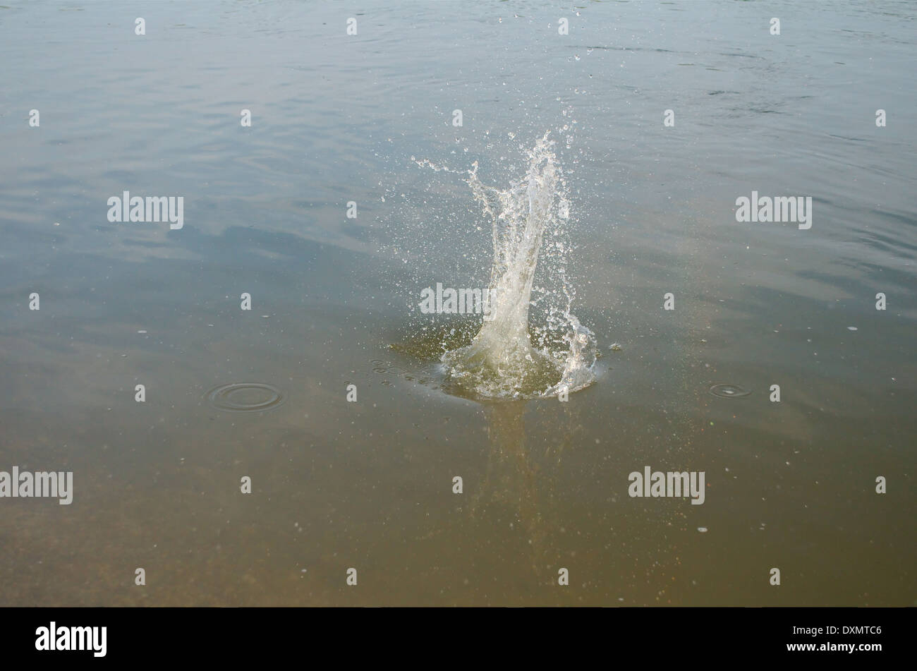 Aqua splash hi-res stock photography and images - Alamy