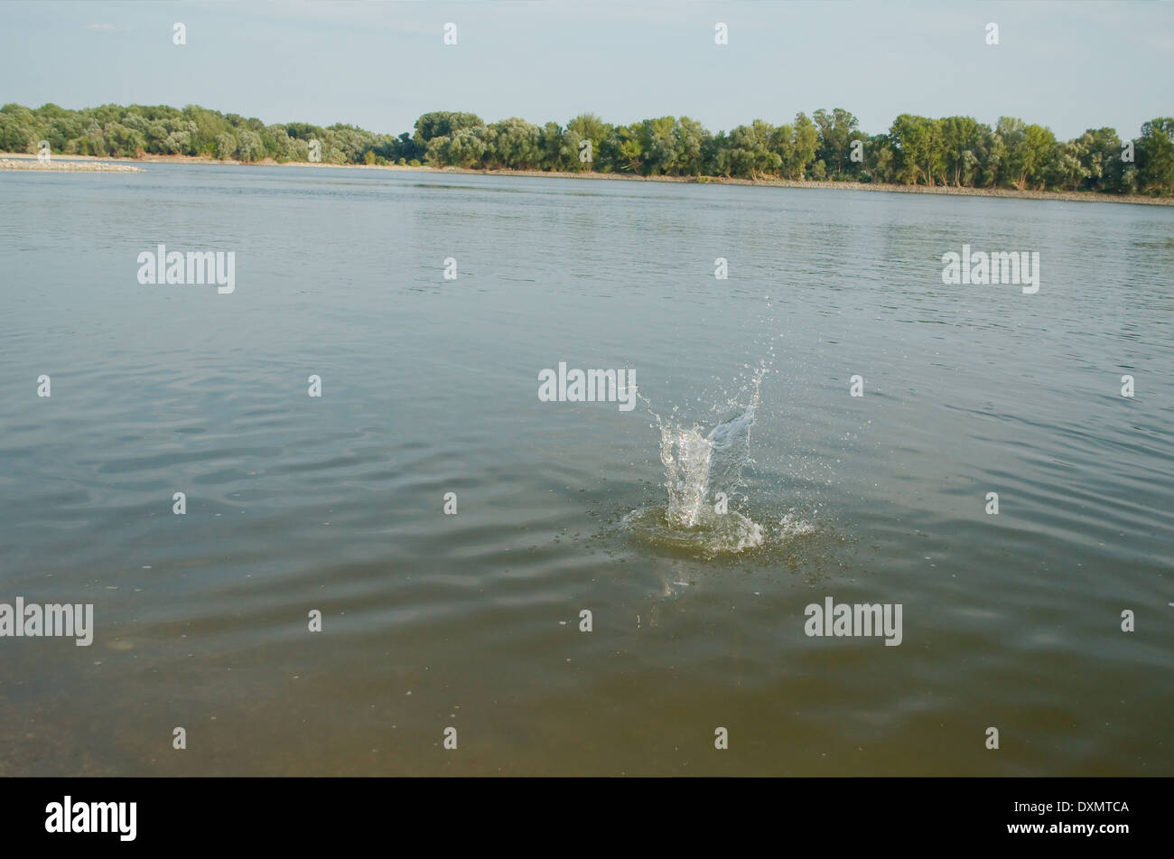 Splash of Water as Rock Hits the River Stock Photo - Alamy