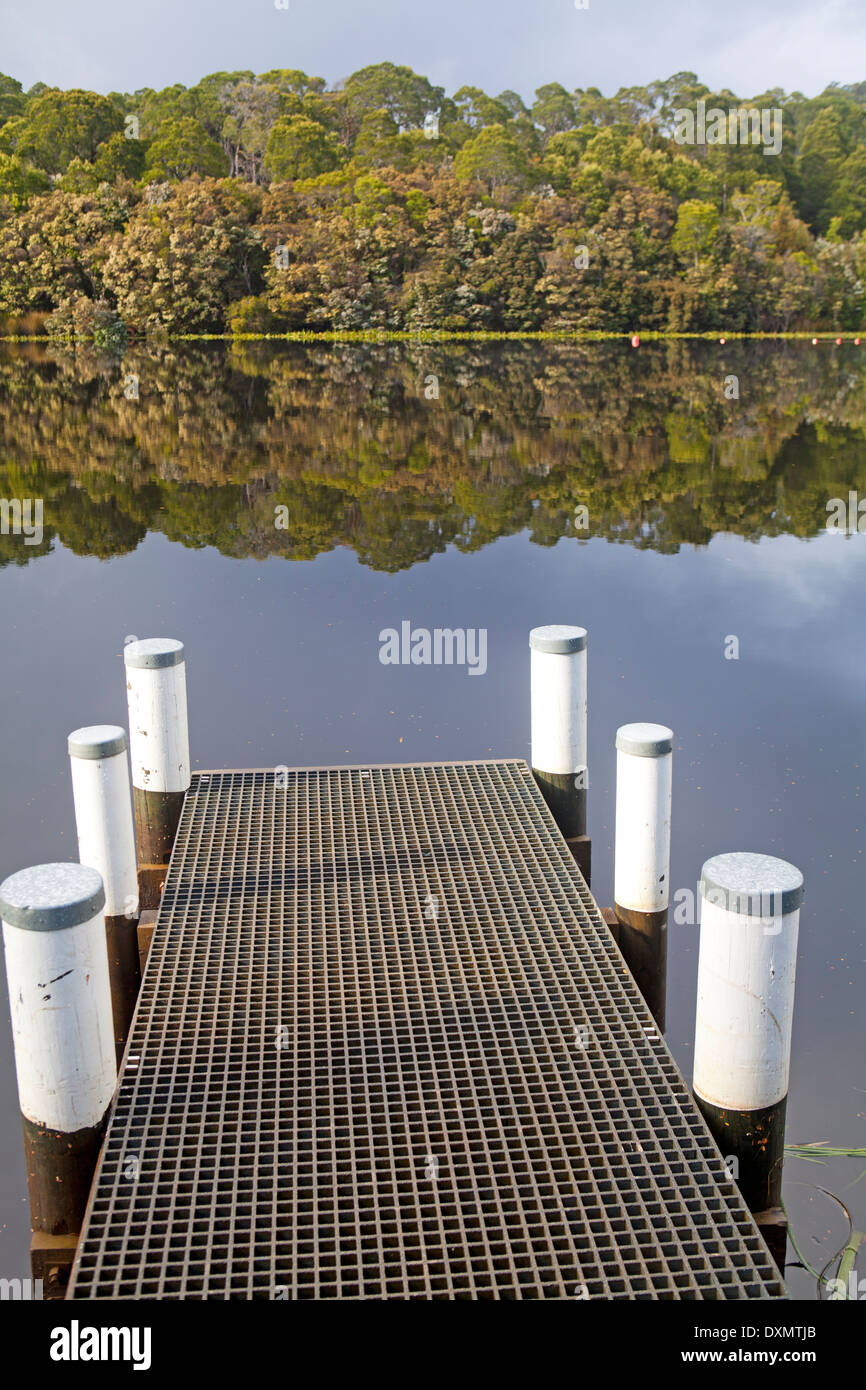 Jetty on the Pieman River at Corinna, inside the Tarkine rainforest ...