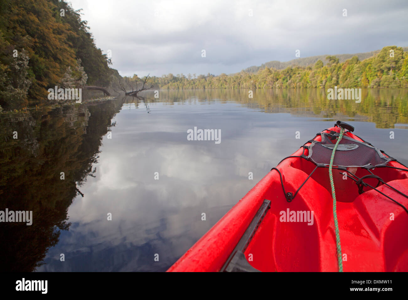Kayak on the Pieman River through the Tarkine rainforest Stock Photo ...