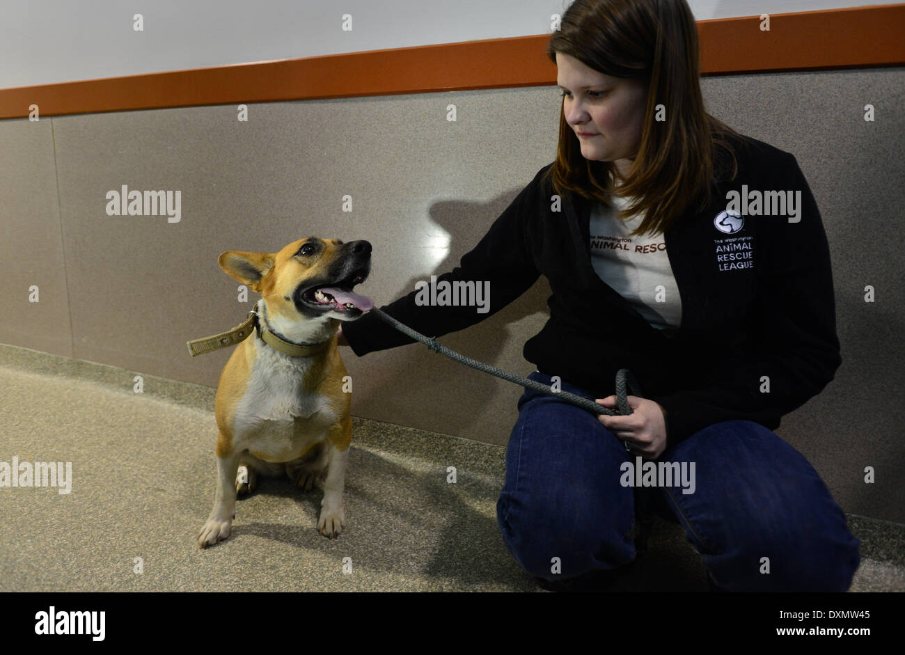 Washington dc animal shelter hi-res stock photography and images - Alamy