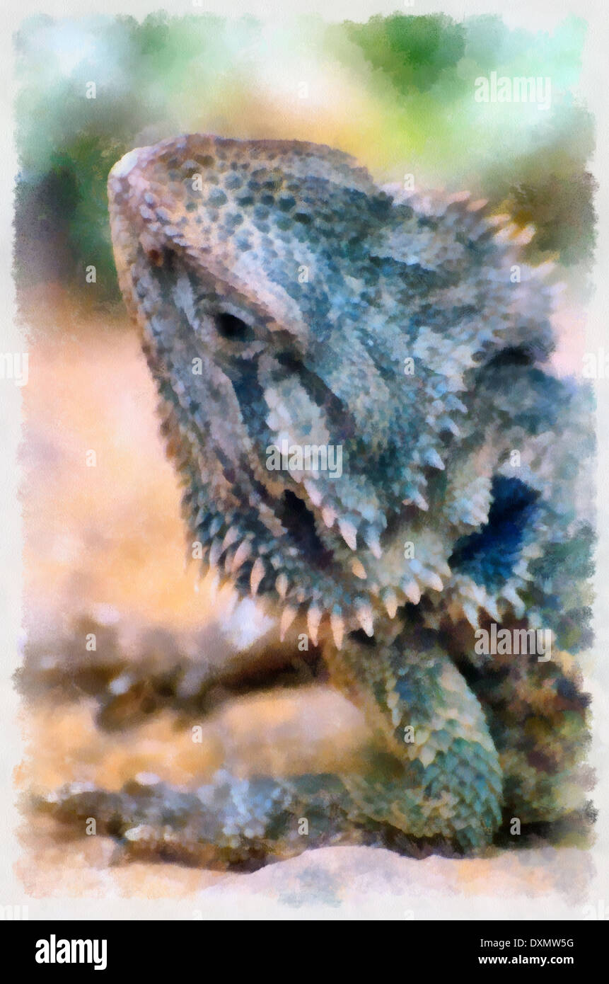 Pogona images hi-res stock photography and images - Alamy