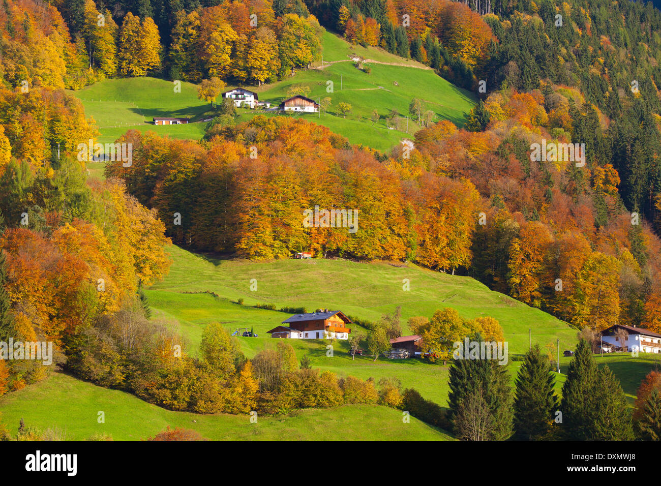 View of Farms on a Hillside, Berchtesgaden, Bavaria, Germany Stock ...
