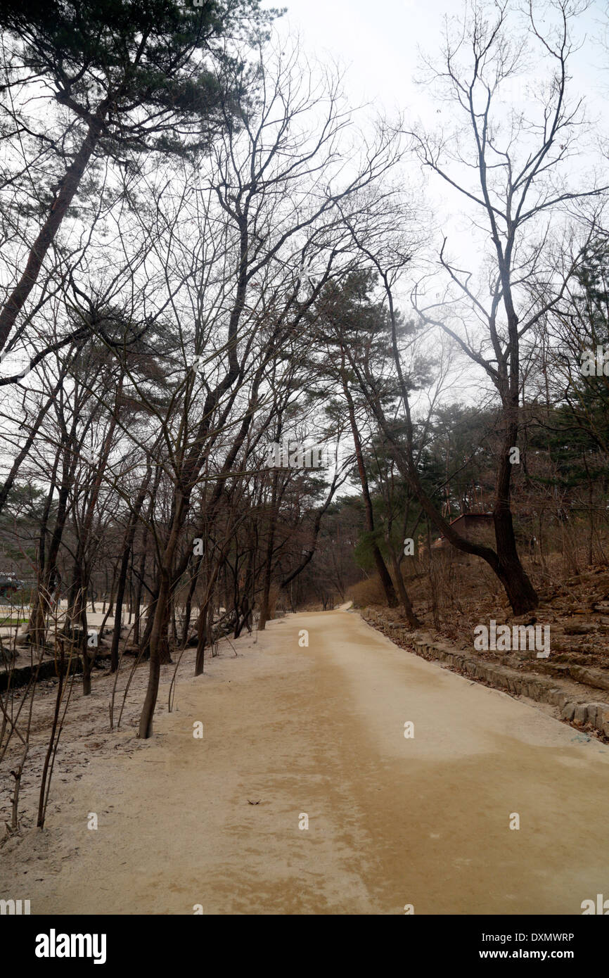 A trail through the forest in Jeongneung Royal Tomb, Seoul, South Korea ...