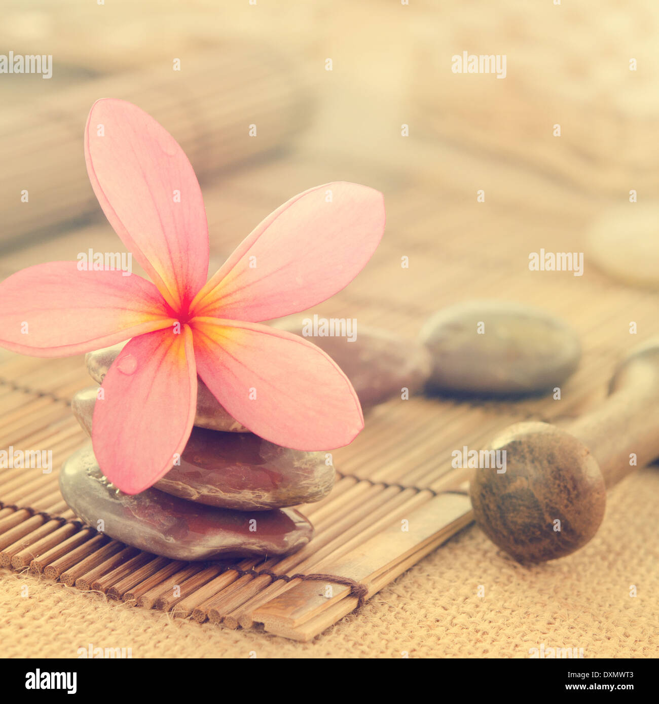 Tropical spa with Frangipani flowers in retro style. Low lighting ...