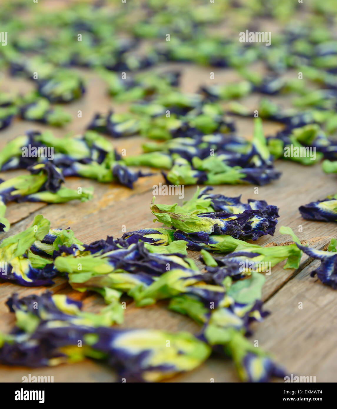 Sun dried butterfly pea flowers on the table Stock Photo - Alamy