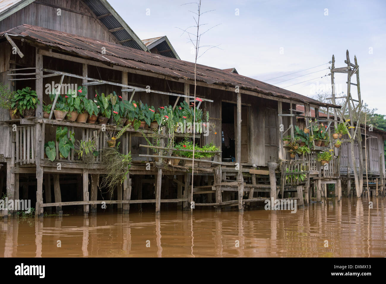 Stilt house with many potted plants hi-res stock photography and images ...
