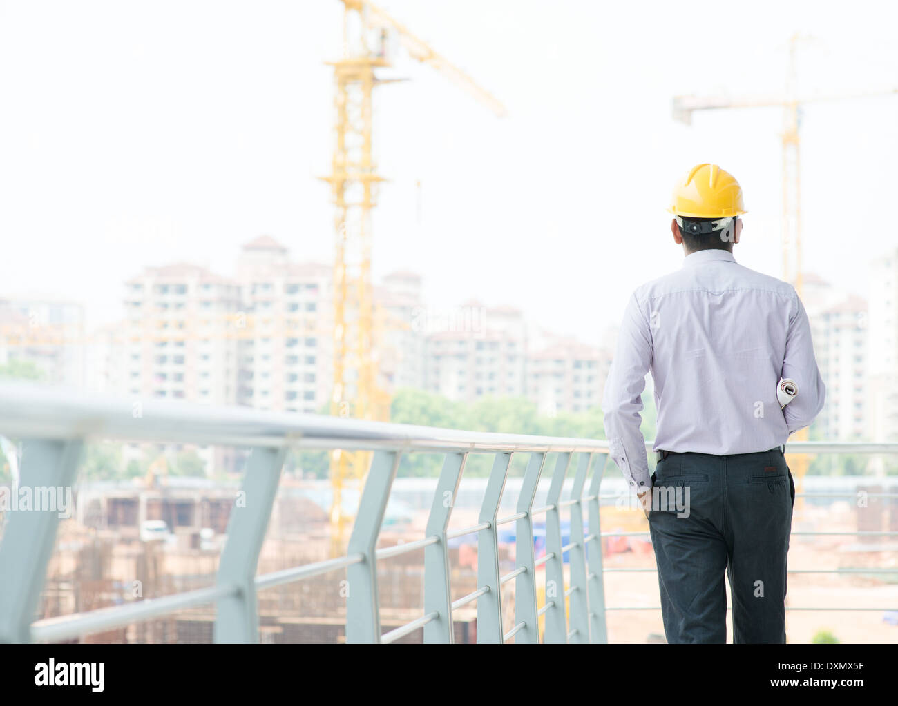 Rear view of a Asian Indian male contractor engineer with hard hat ...