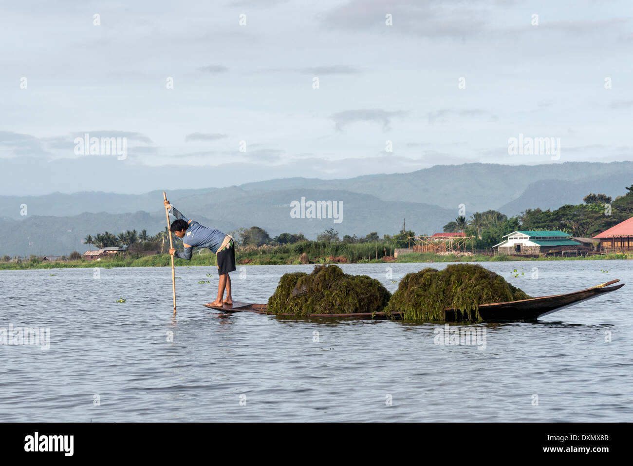 Man poling a canoe hi-res stock photography and images - Alamy
