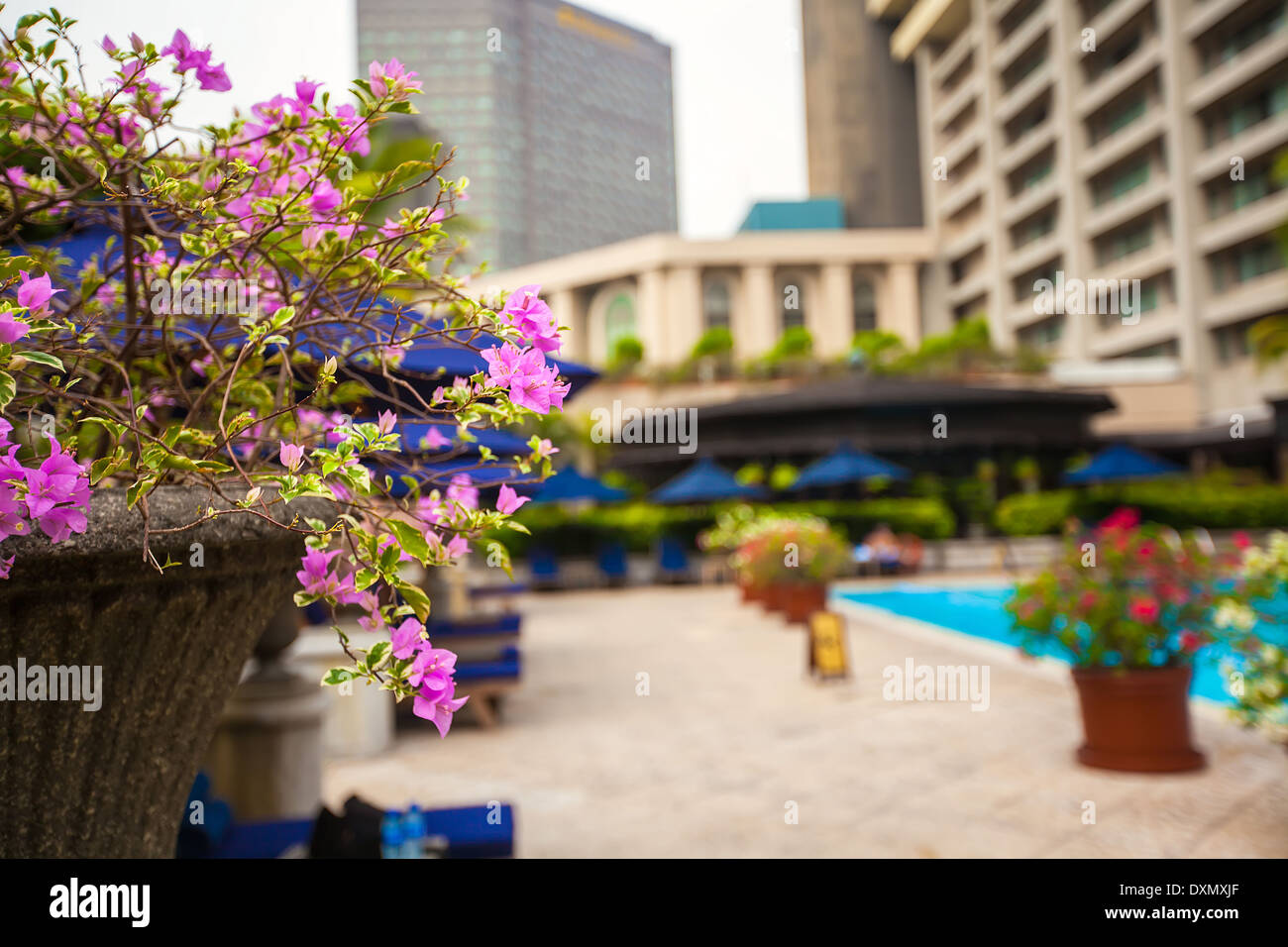 General view of luxury hotel with an outdoor pool and cafe Stock Photo ...