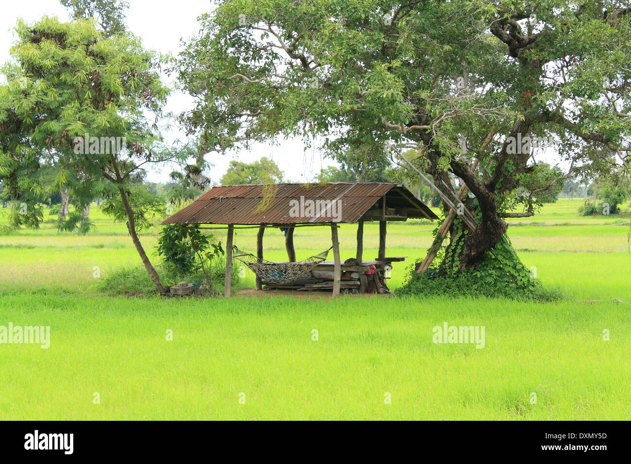 Shanty house architecture hi-res stock photography and images - Alamy