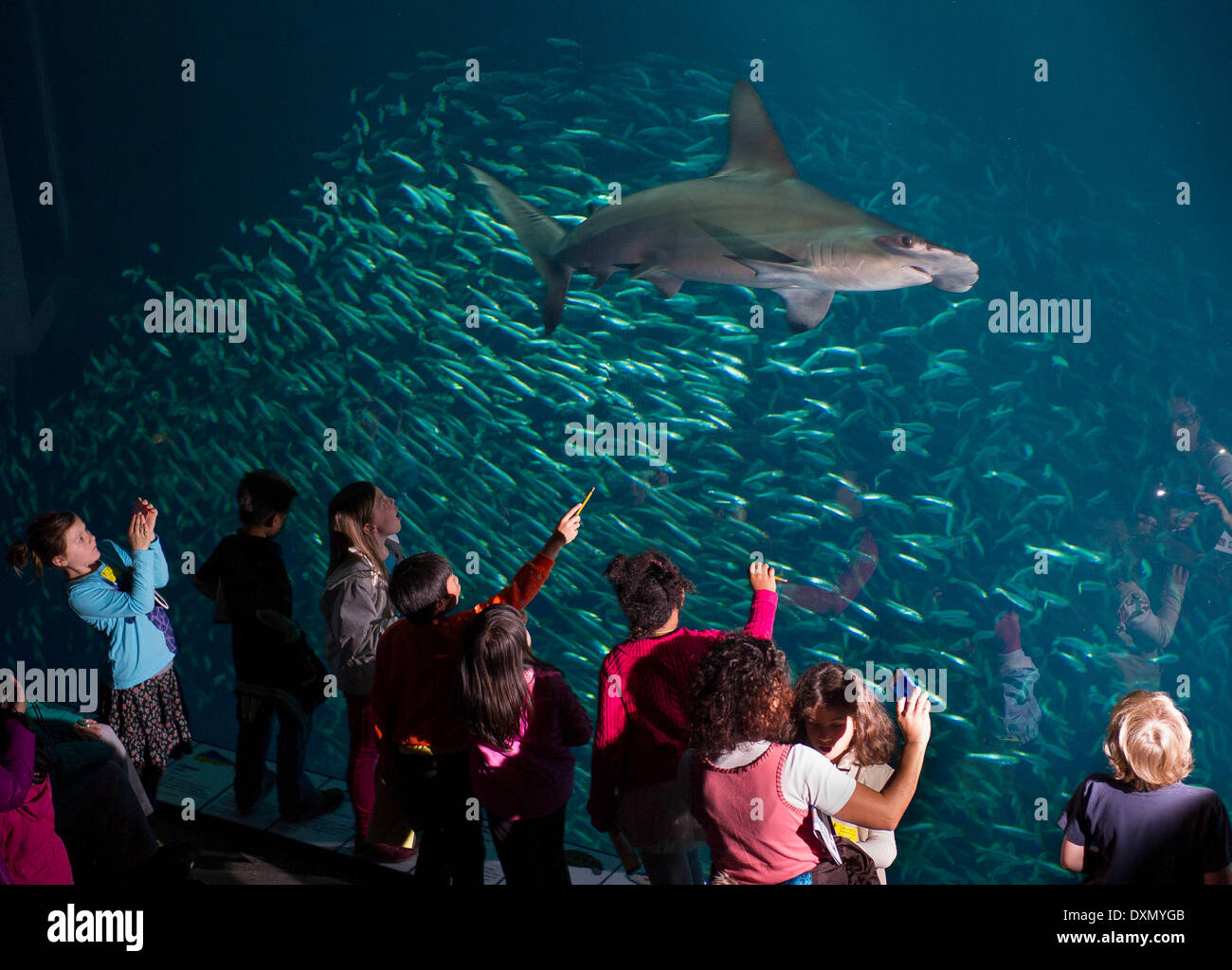 Monterey, California, USA. 27th Mar, 2014. A group of children watch as ...