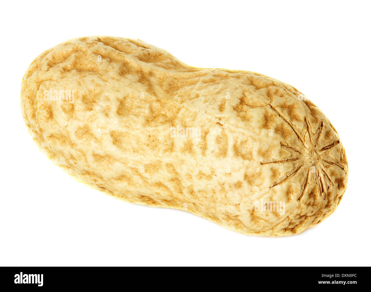 peanuts isolated on white background Stock Photo - Alamy