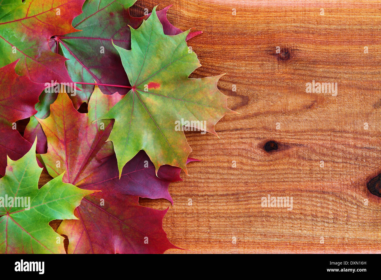 Autumn Leaves on Wood Stock Photo - Alamy