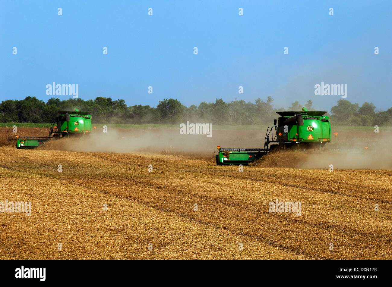 Saskatchewan agriculture hi-res stock photography and images - Alamy