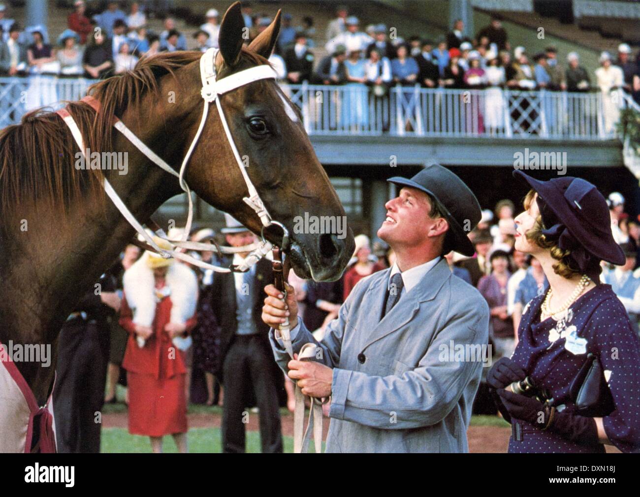 Phar lap 1983 film hi-res stock photography and images - Alamy