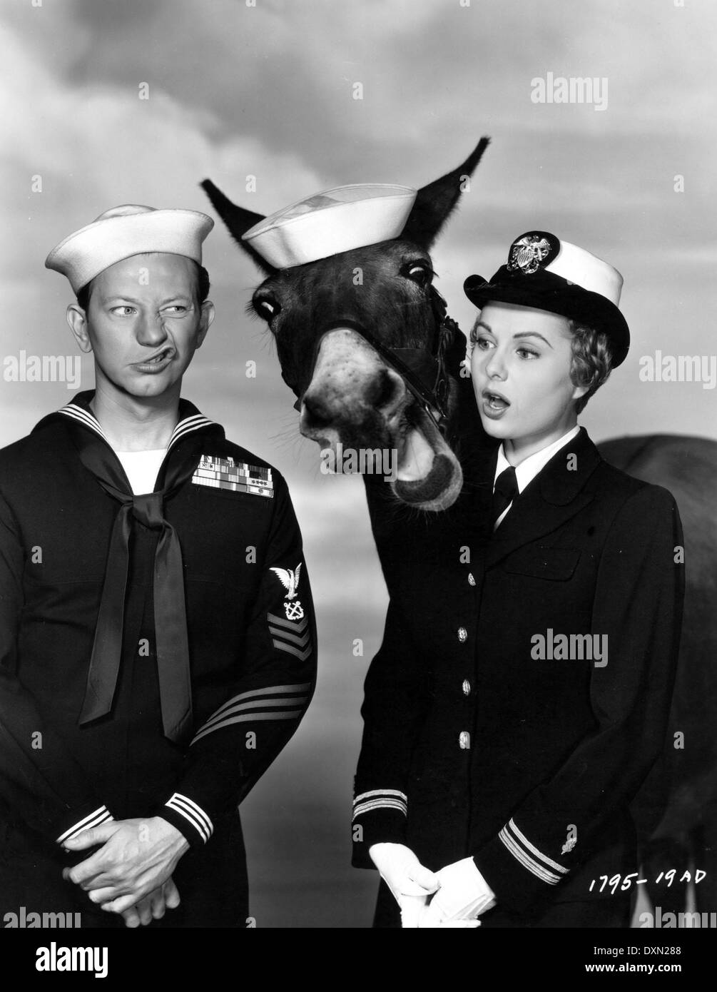 FRANCIS IN THE NAVY Stock Photo - Alamy