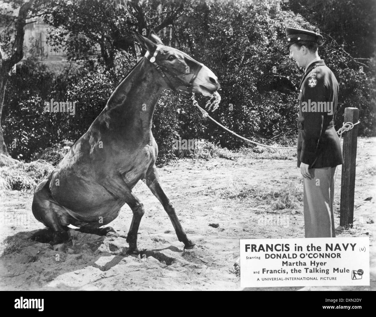 Francis in the navy film hi-res stock photography and images - Alamy