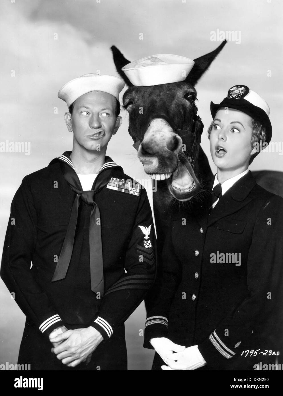 FRANCIS IN THE NAVY Stock Photo - Alamy