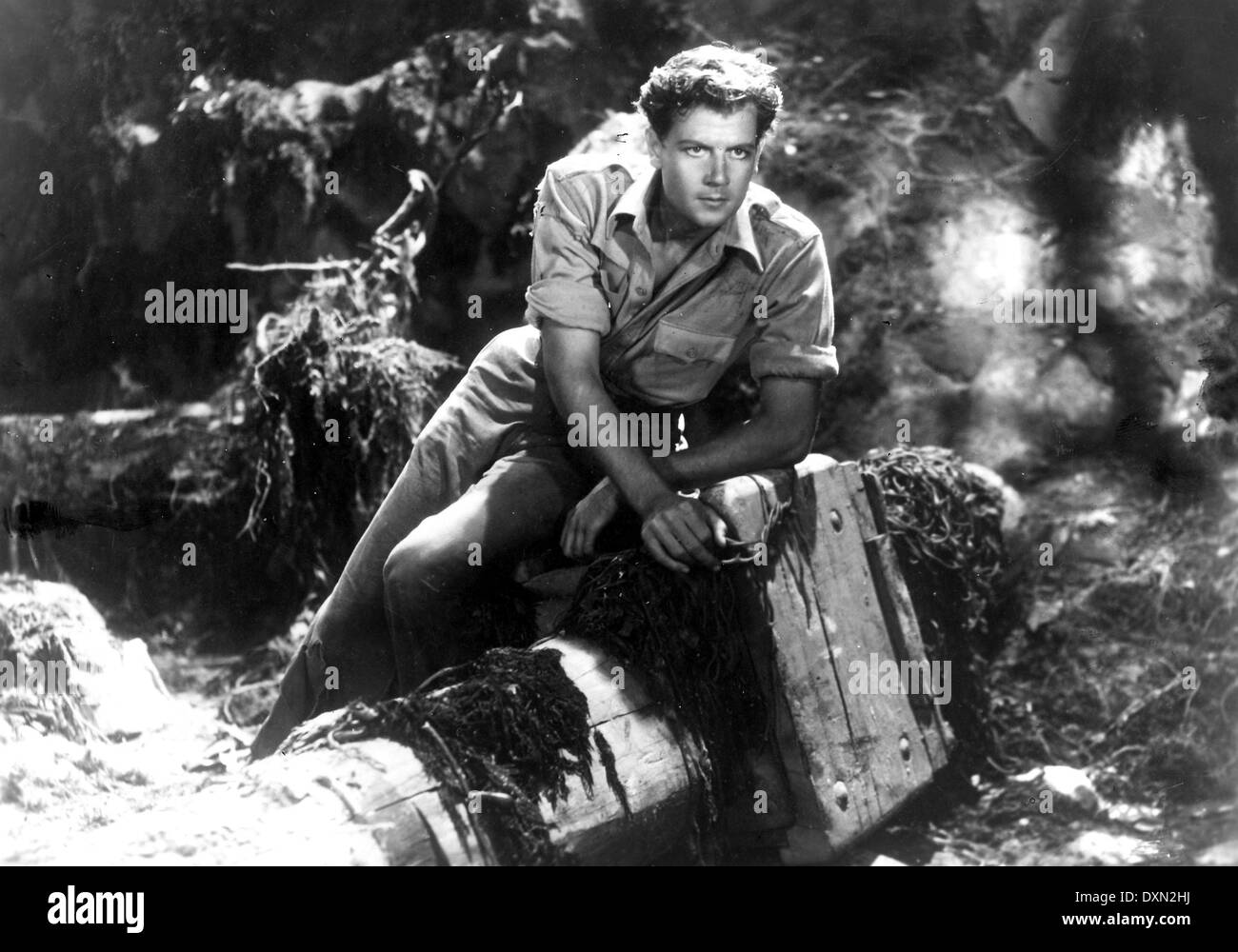 HOUNDS OF ZAROFF Stock Photo - Alamy