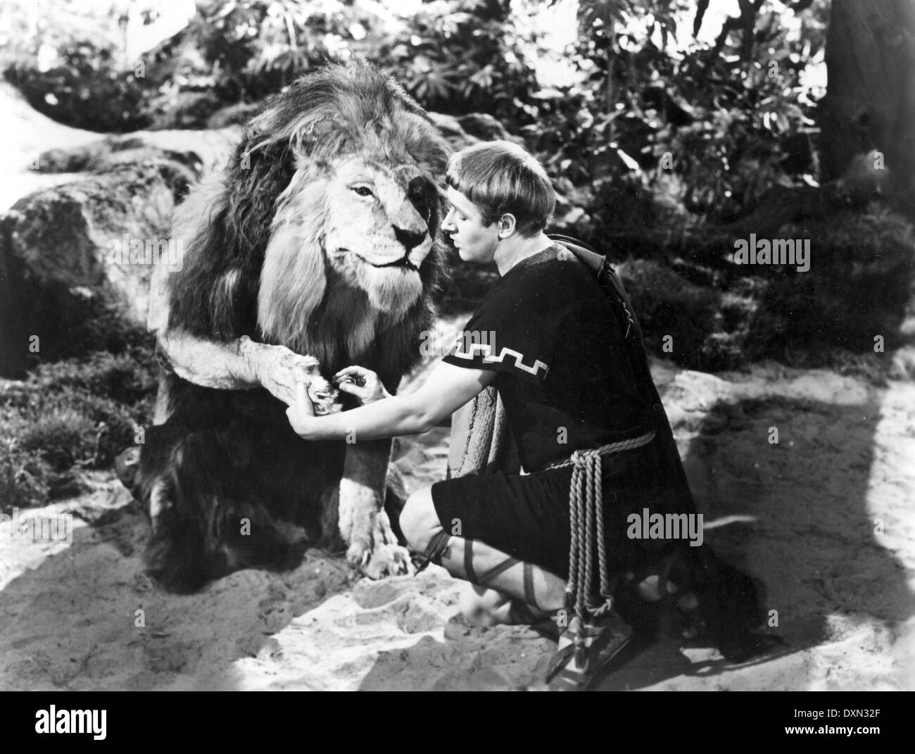 Androcles and the lion hi-res stock photography and images - Alamy