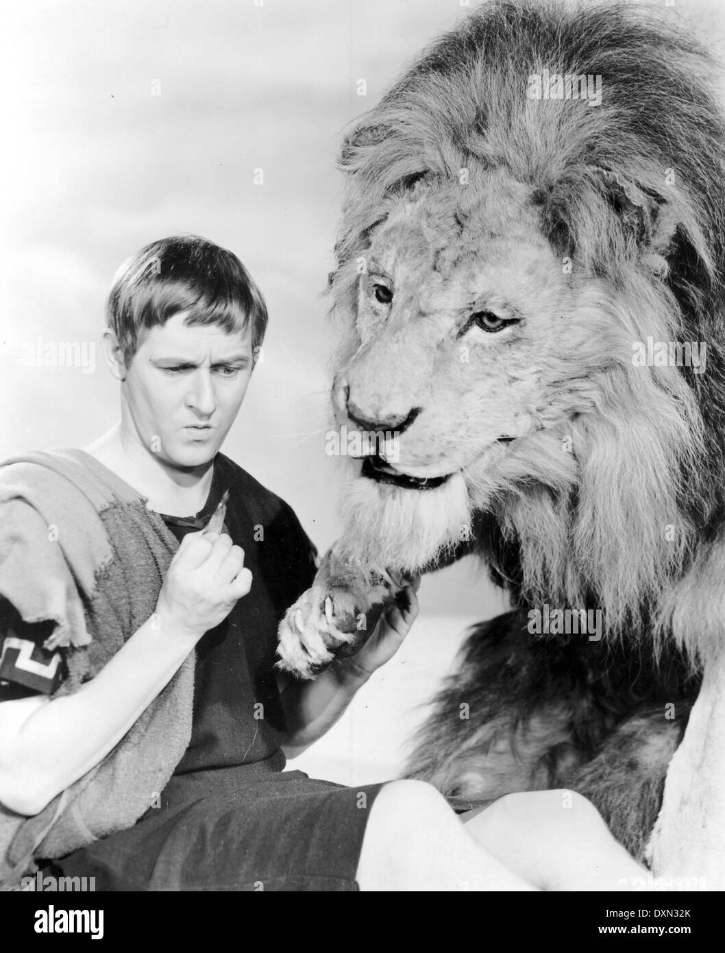 ANDROCLES AND THE LION Stock Photo - Alamy
