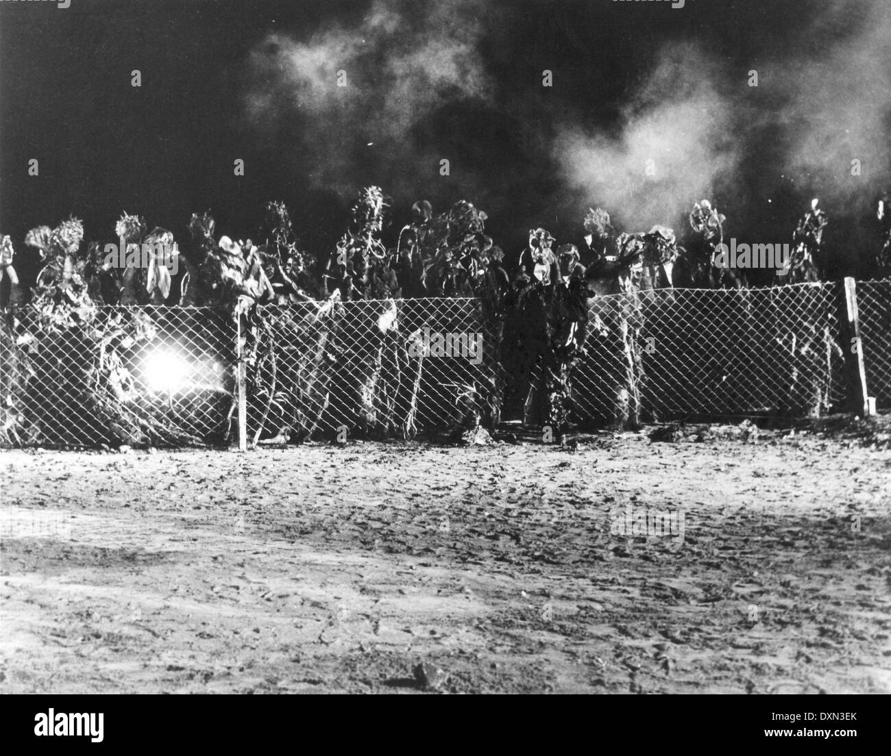 Day of the triffids 1962 hi-res stock photography and images - Alamy
