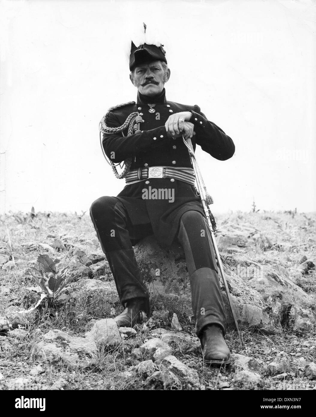 THE CHARGE OF THE LIGHT BRIGADE Stock Photo - Alamy