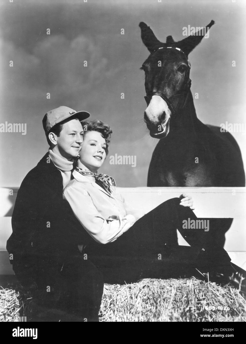 FRANCIS GOES TO THE RACES Stock Photo - Alamy