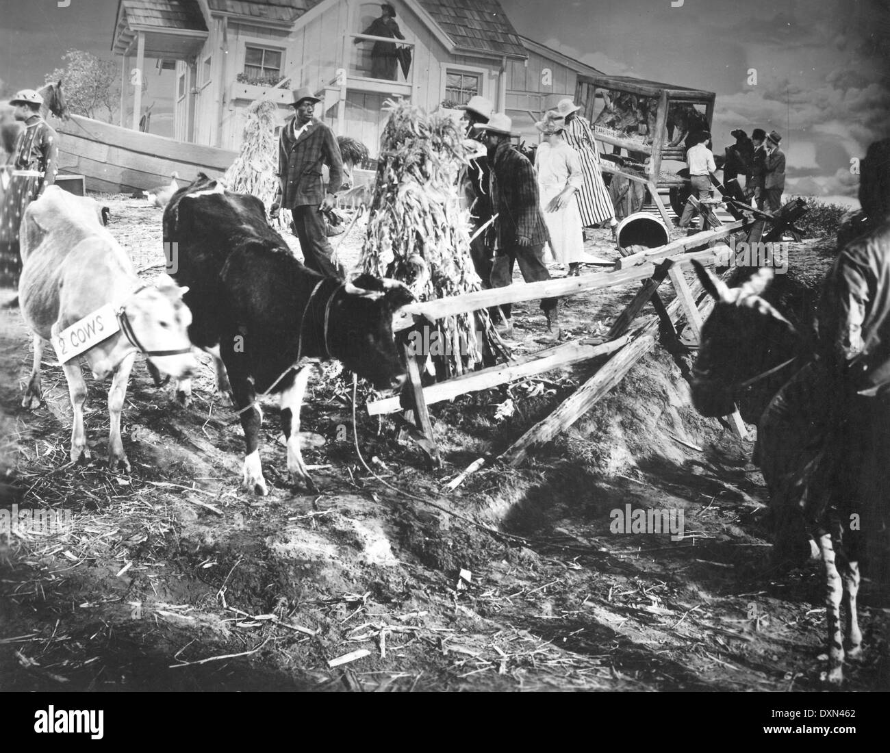 Green pastures film hi-res stock photography and images - Alamy