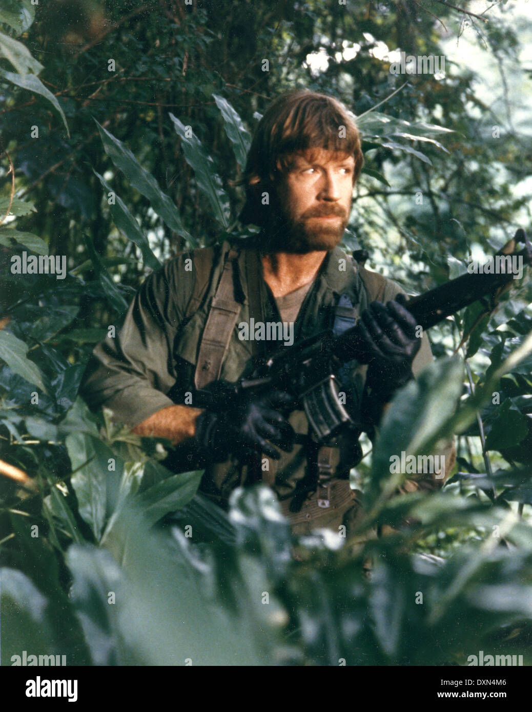 MISSING IN ACTION Stock Photo - Alamy